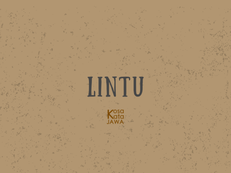 Lintu Artinya Dalam Bahasa Jawa Ke Indonesia & Contoh Kalimat ...