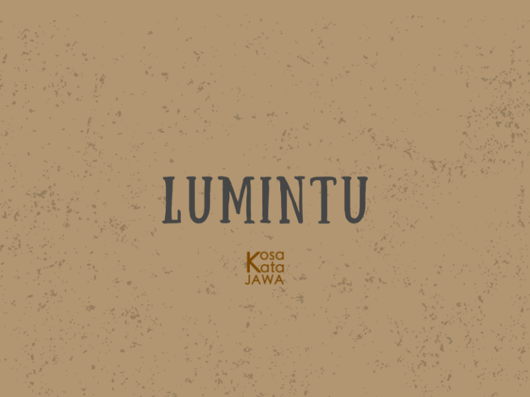 Lumintu Artinya Dalam Bahasa Jawa Ke Indonesia & Contoh Kalimat ...