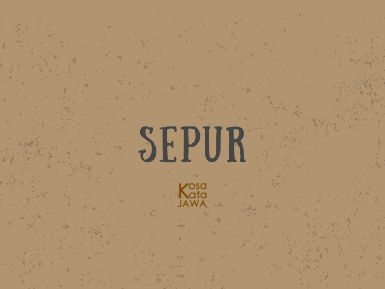 Sepur Artinya Dalam Bahasa Jawa Ke Indonesia & Contoh Kalimat ...